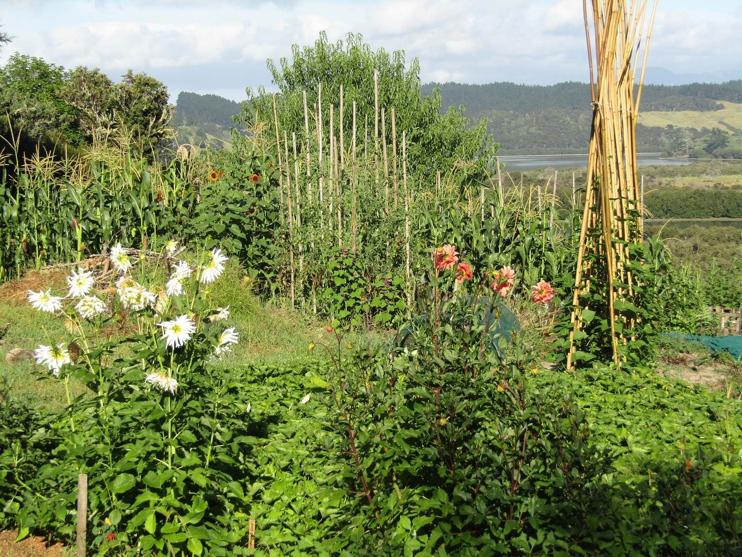 About - Winding River Homestead