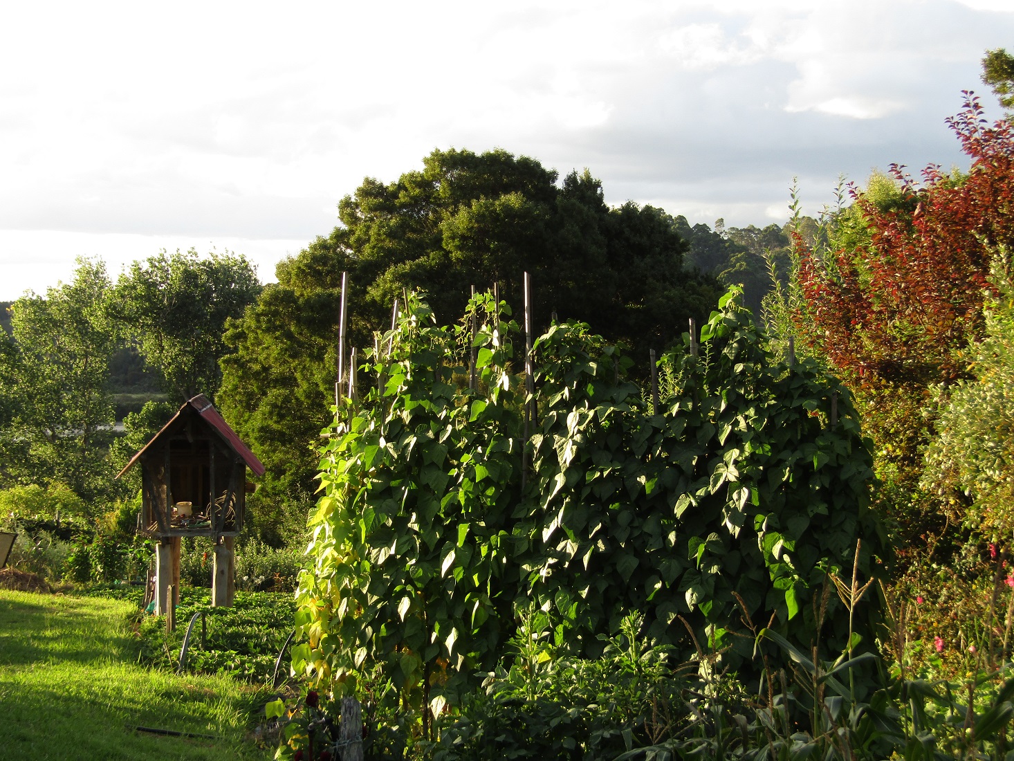 About - Winding River Homestead